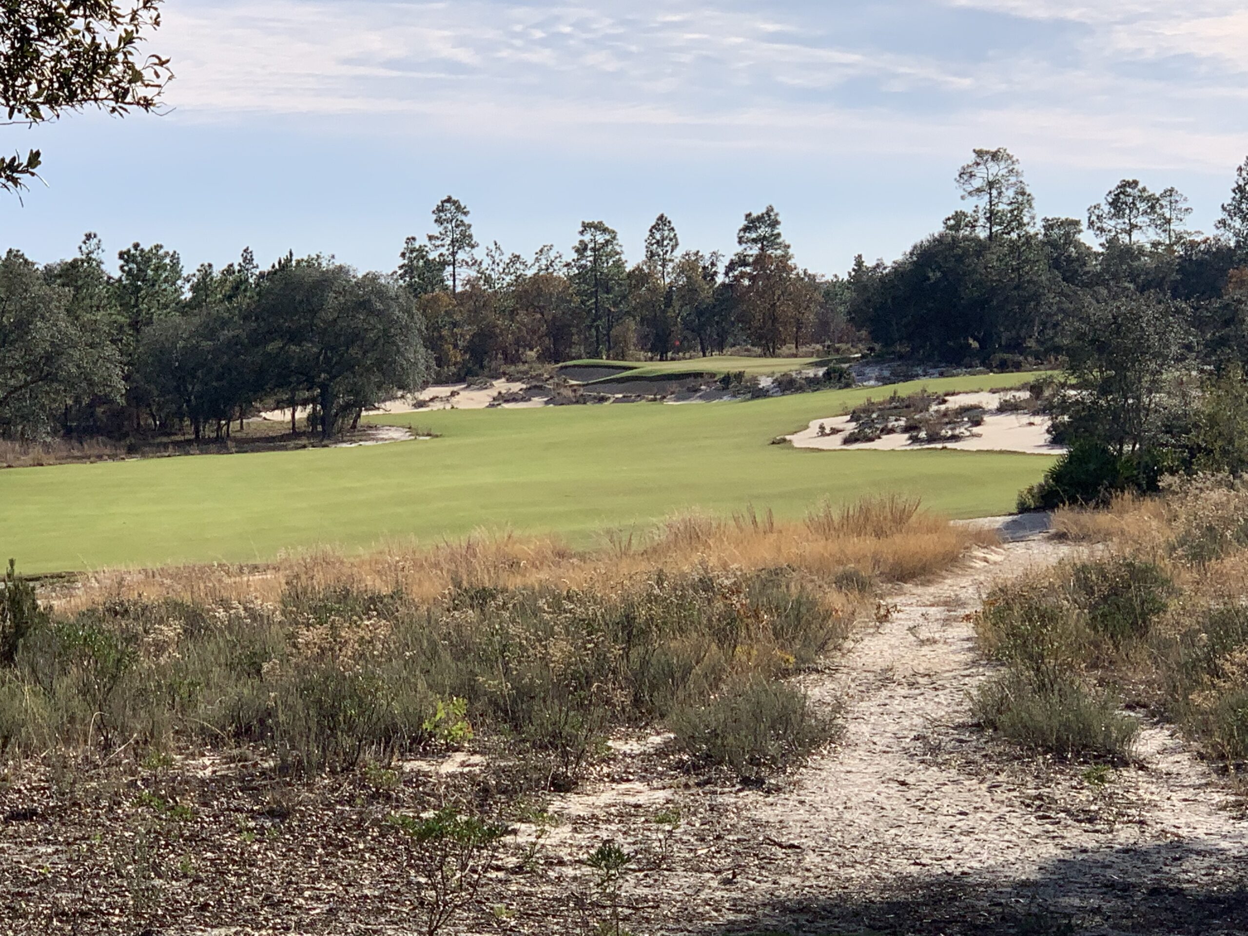 17th Hole at Ohoopee Match Club